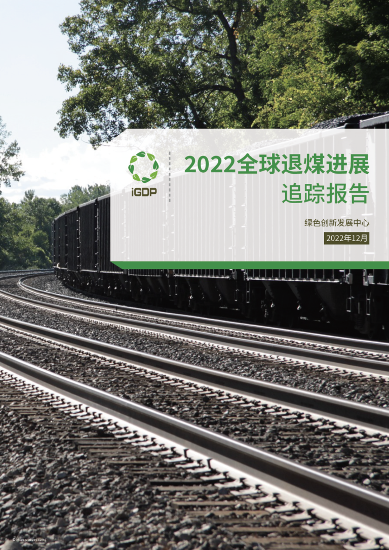 报告 – Institute for Global Decarbonization Progress