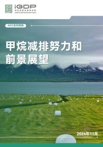 主页 – Institute for Global Decarbonization Progress