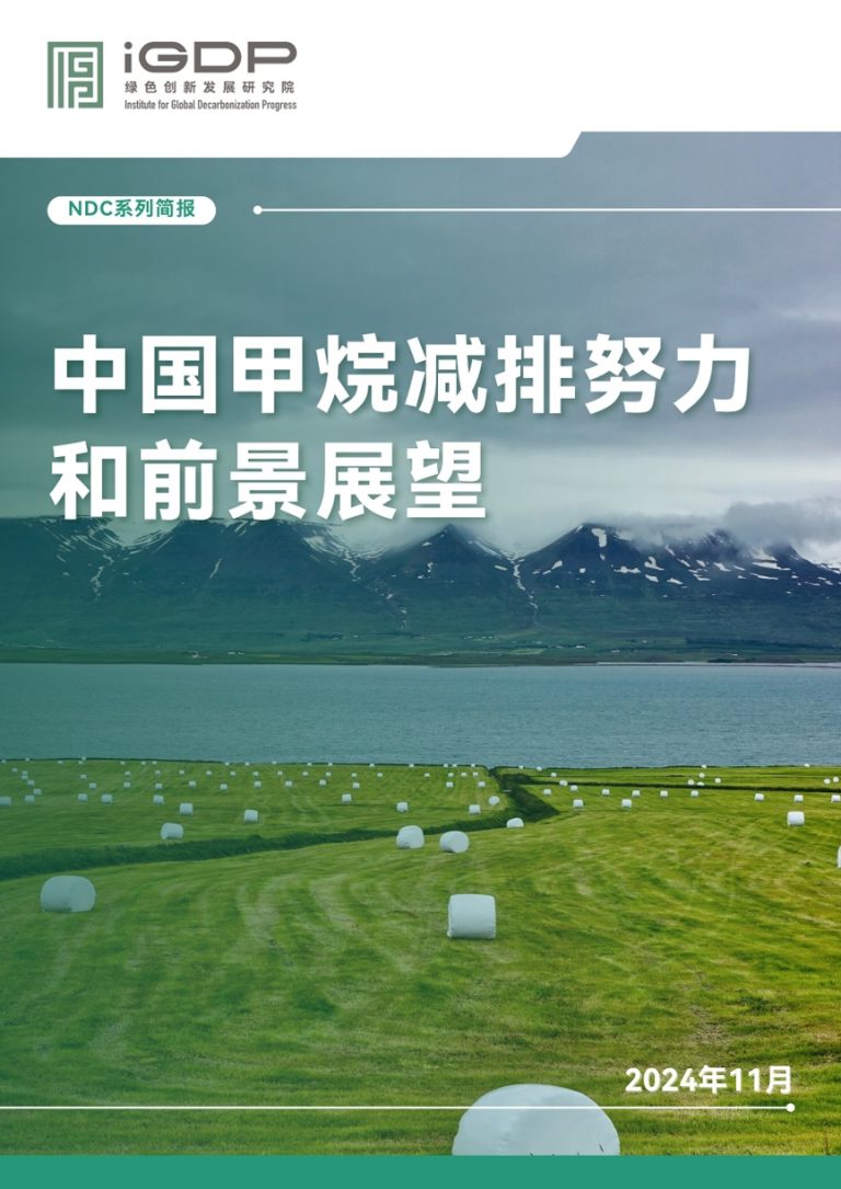 报告 – Institute for Global Decarbonization Progress