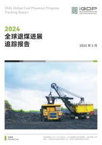 主页 – Institute for Global Decarbonization Progress