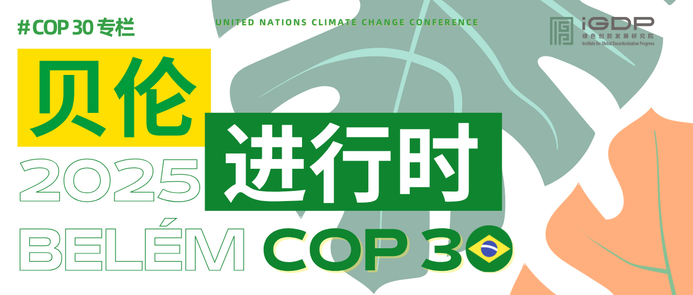 “公正转型的COP”能否实至名归？iGDP的观察与贡献|贝伦进行时 – Institute for Global ...